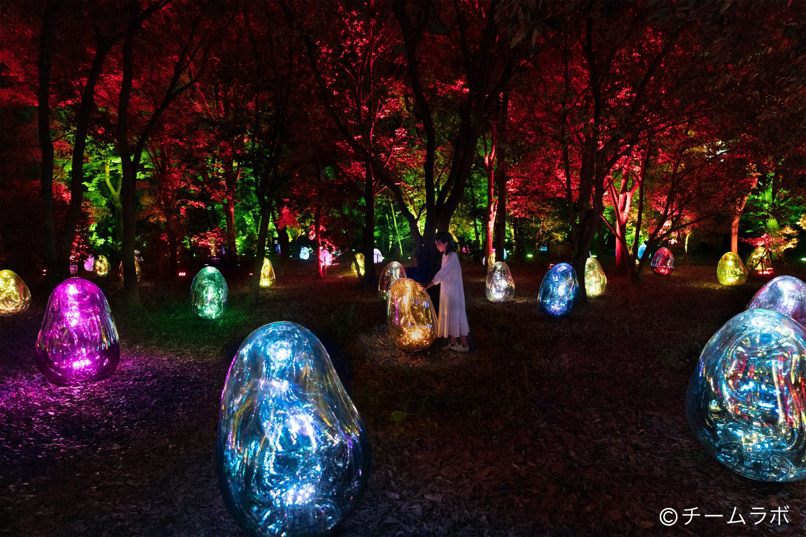 チームラボ ボタニカルガーデン 大阪 – 大阪修学旅行ログ